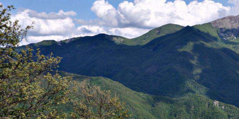 24 maggio 2025 – La Via Francigena : Club Alpino Italiano Sezione di ...